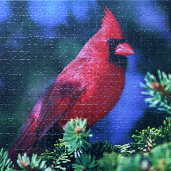 Puzzle: Audubon - Northern Cardinal – Fingering Zen